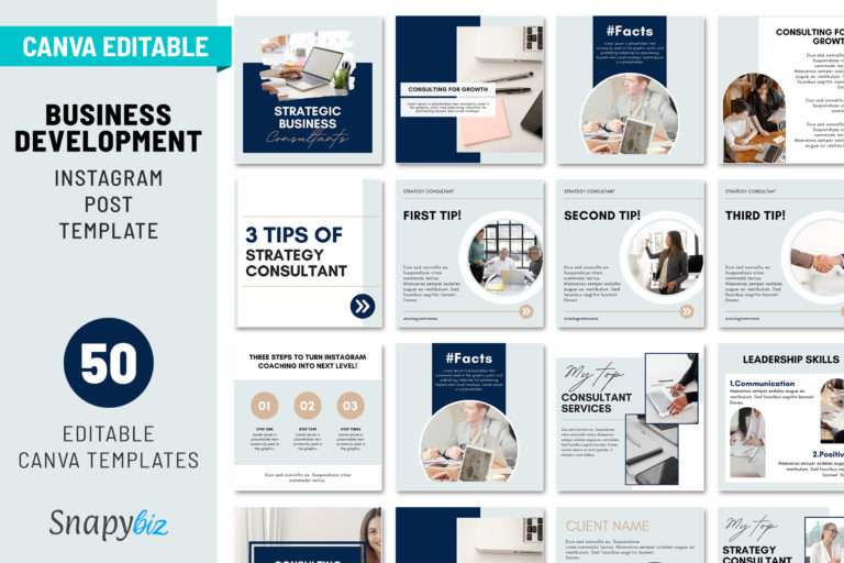 Business Development Instagram Posts for Canva