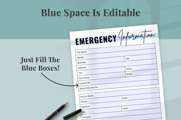 Emergency Binder Free Printables | SnapyBiz