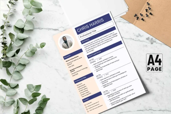 Professional Application CV Template | SnapyBiz