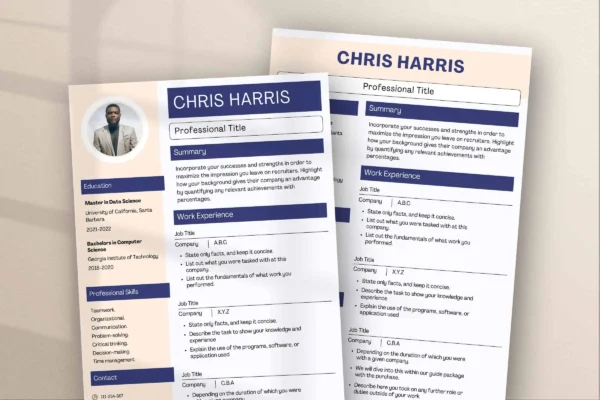 Professional Application CV Template | SnapyBiz